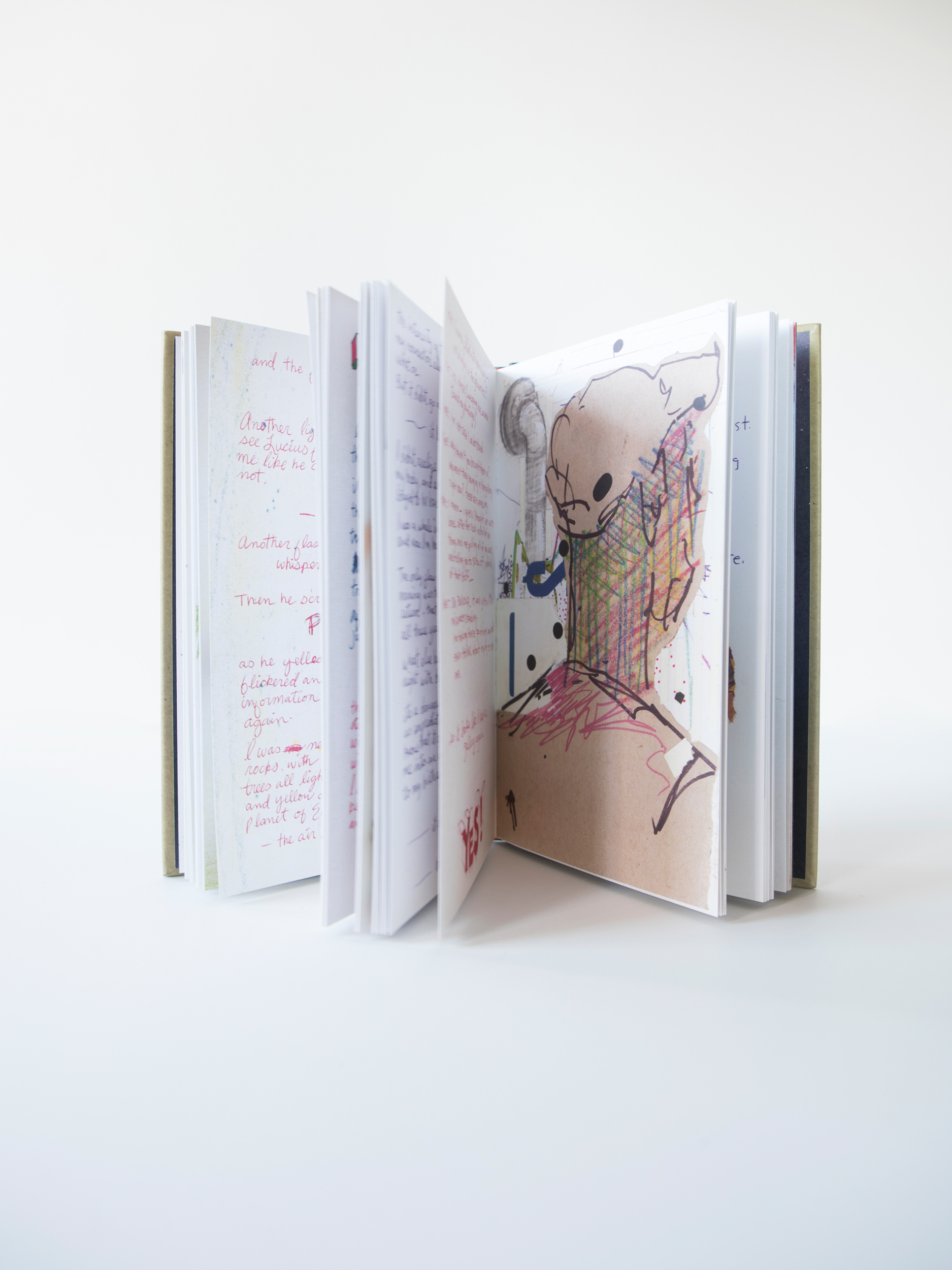 Don’t Read This! The Private Diary of Piper Pastore | Meow Wolf Shop